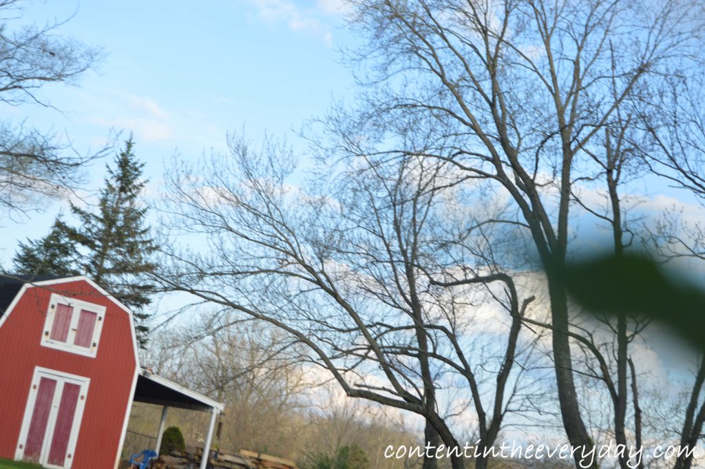 Learning Through the Lens… – The King's Little Red Homestead