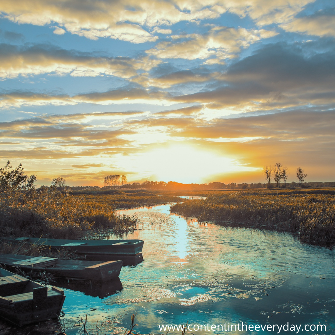 2021… – The King's Little Red Homestead