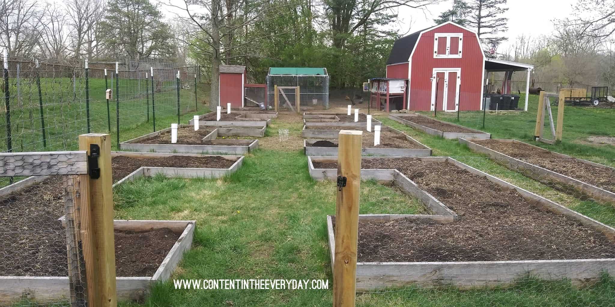 He’s Making All Things New! – The King's Little Red Homestead