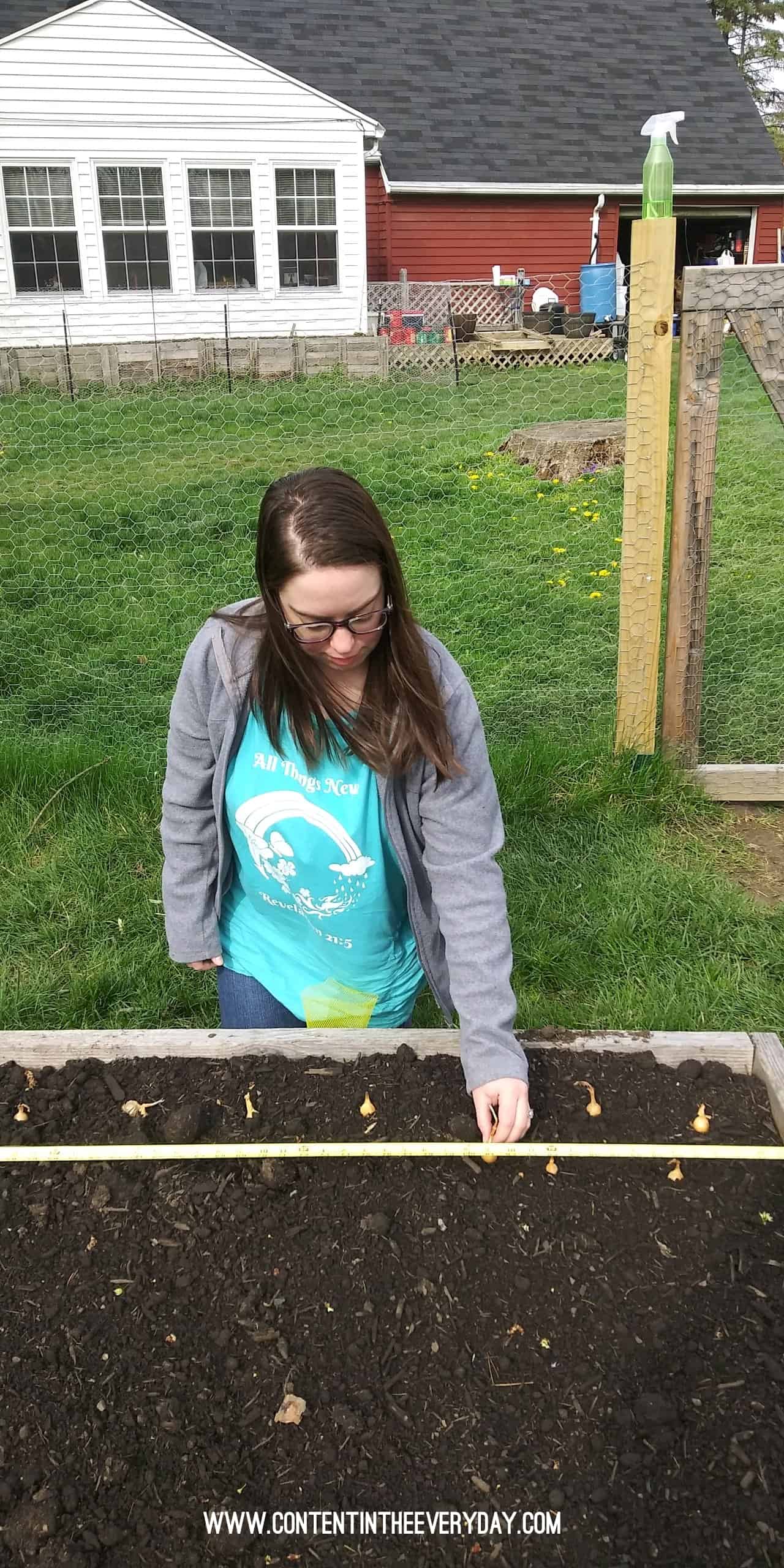 He’s Making All Things New! – The King's Little Red Homestead