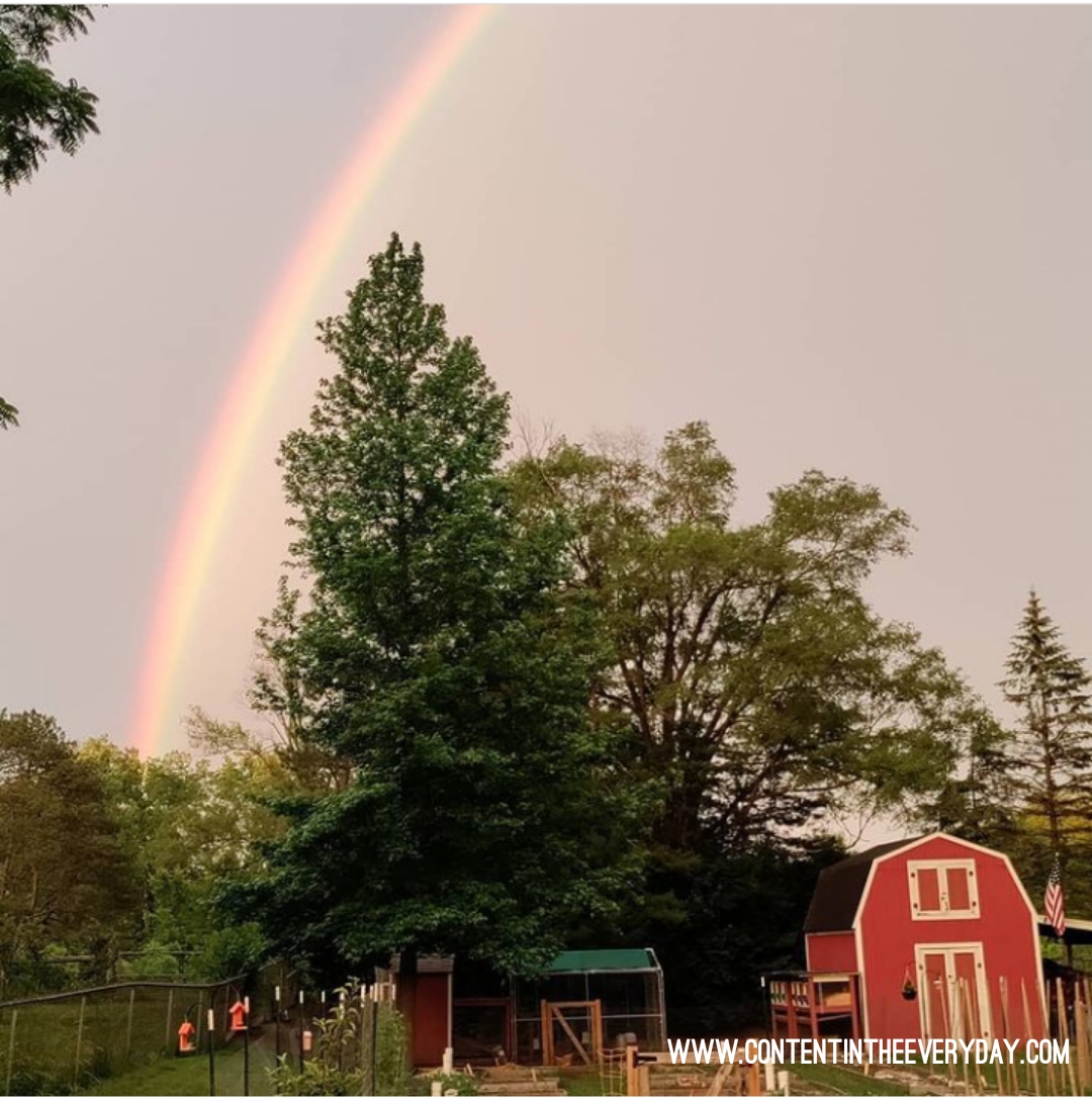 Promises and Praises – The King's Little Red Homestead